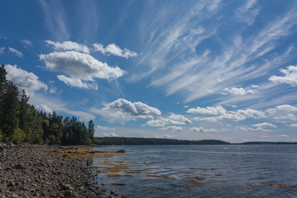 10 Best Easy Hikes in Acadia National Park