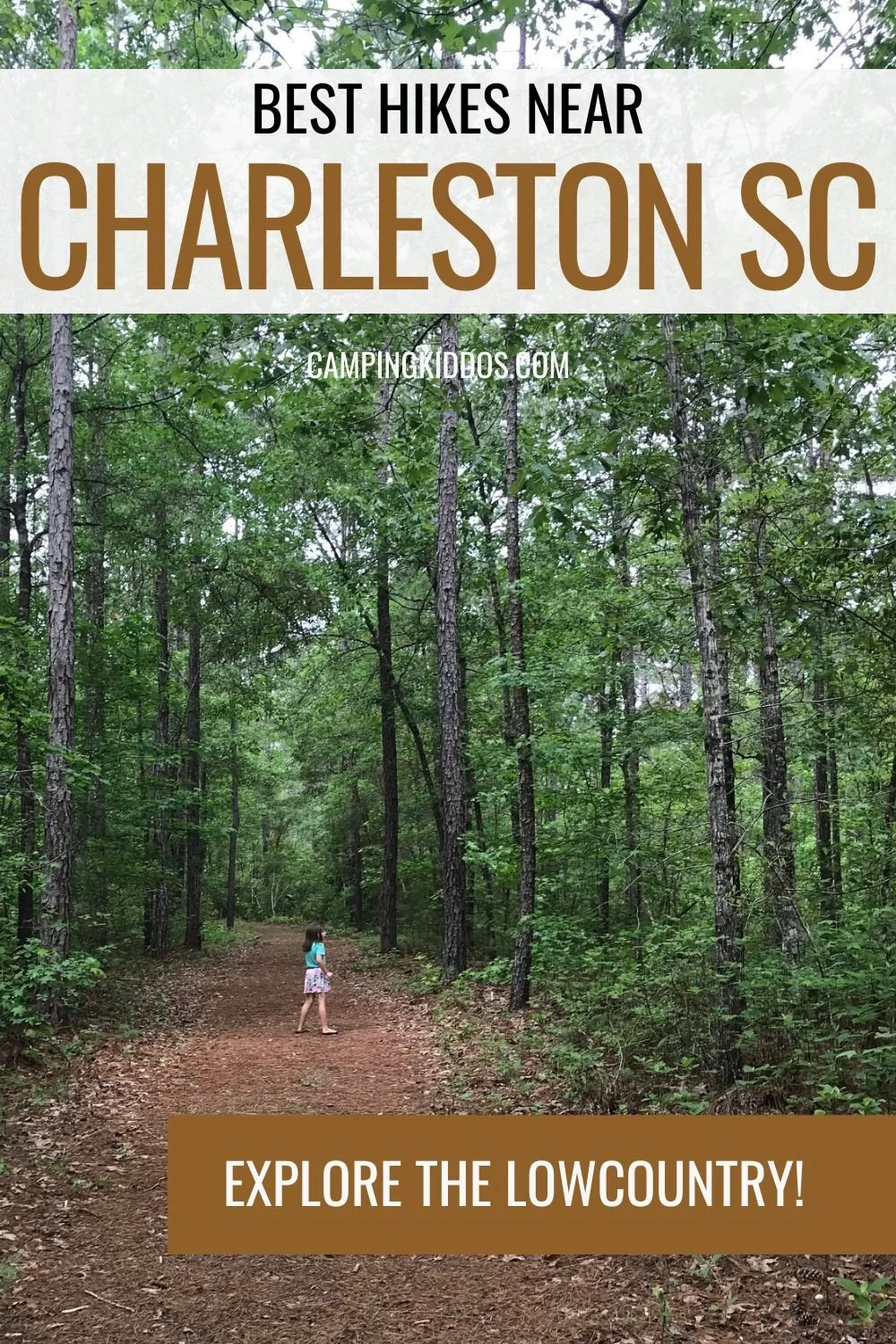 16 Best Hikes Near Charleston SC