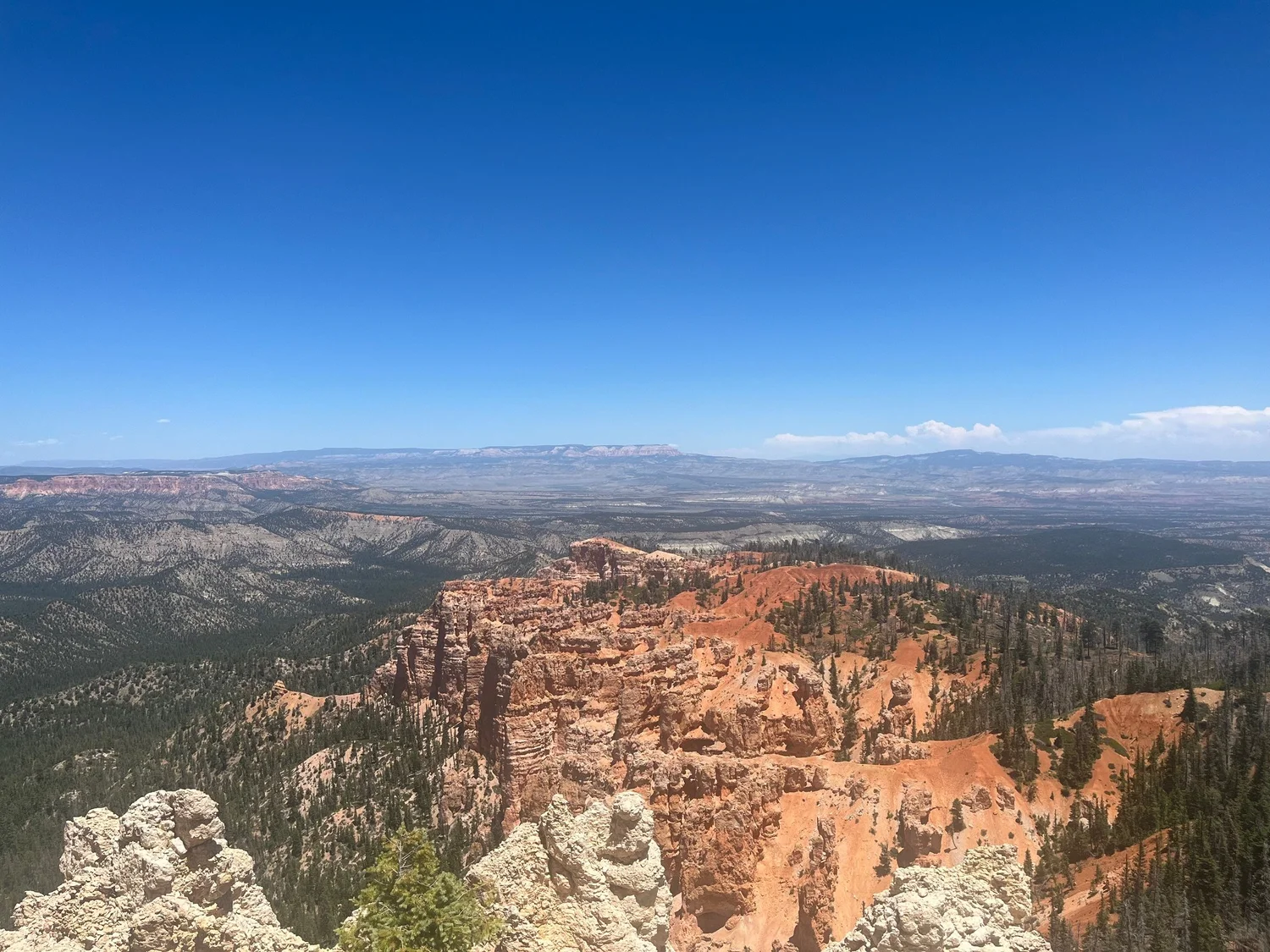 A Guide to Bryce Canyon National Park with Kids