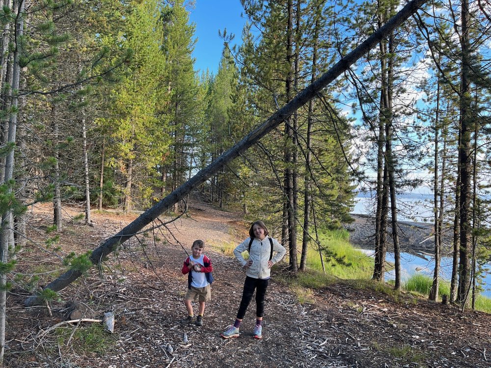 A Guide to Easy Hikes in Yellowstone National Park