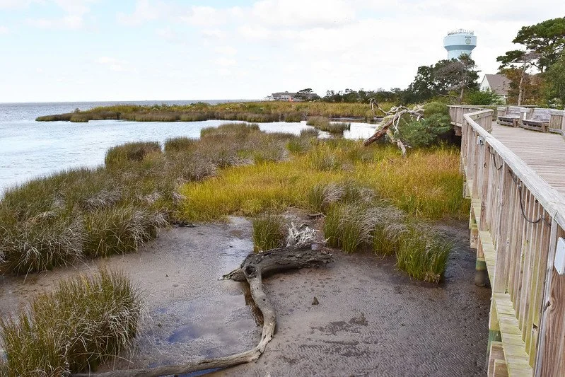 Best Outer Banks Towns for Families