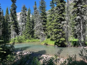 Grinnell Lake Trail in Glacier National Park: A Hiking Guide