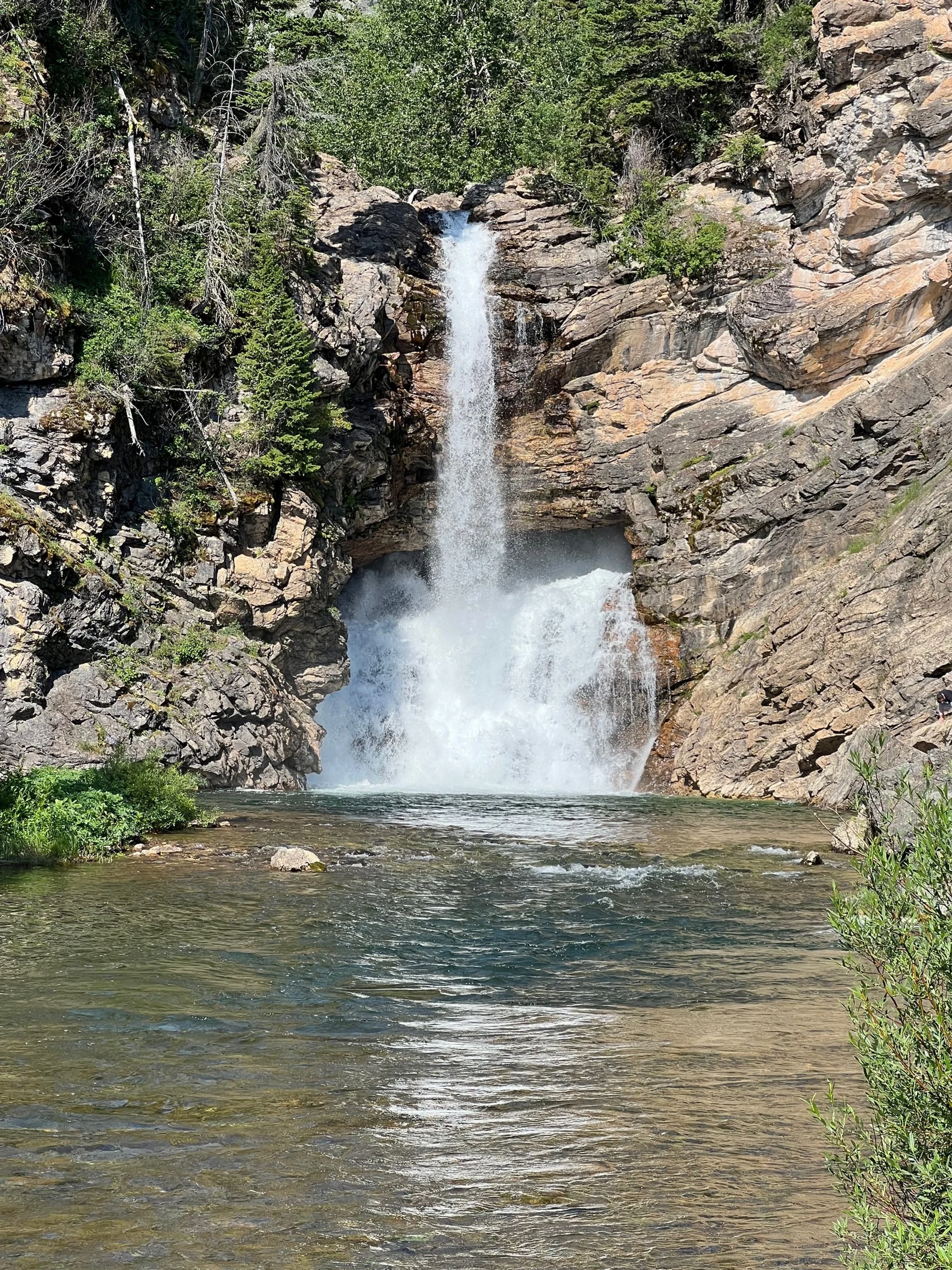 Running Eagle Falls Trail in Glacier National Park: A Hiking Guide