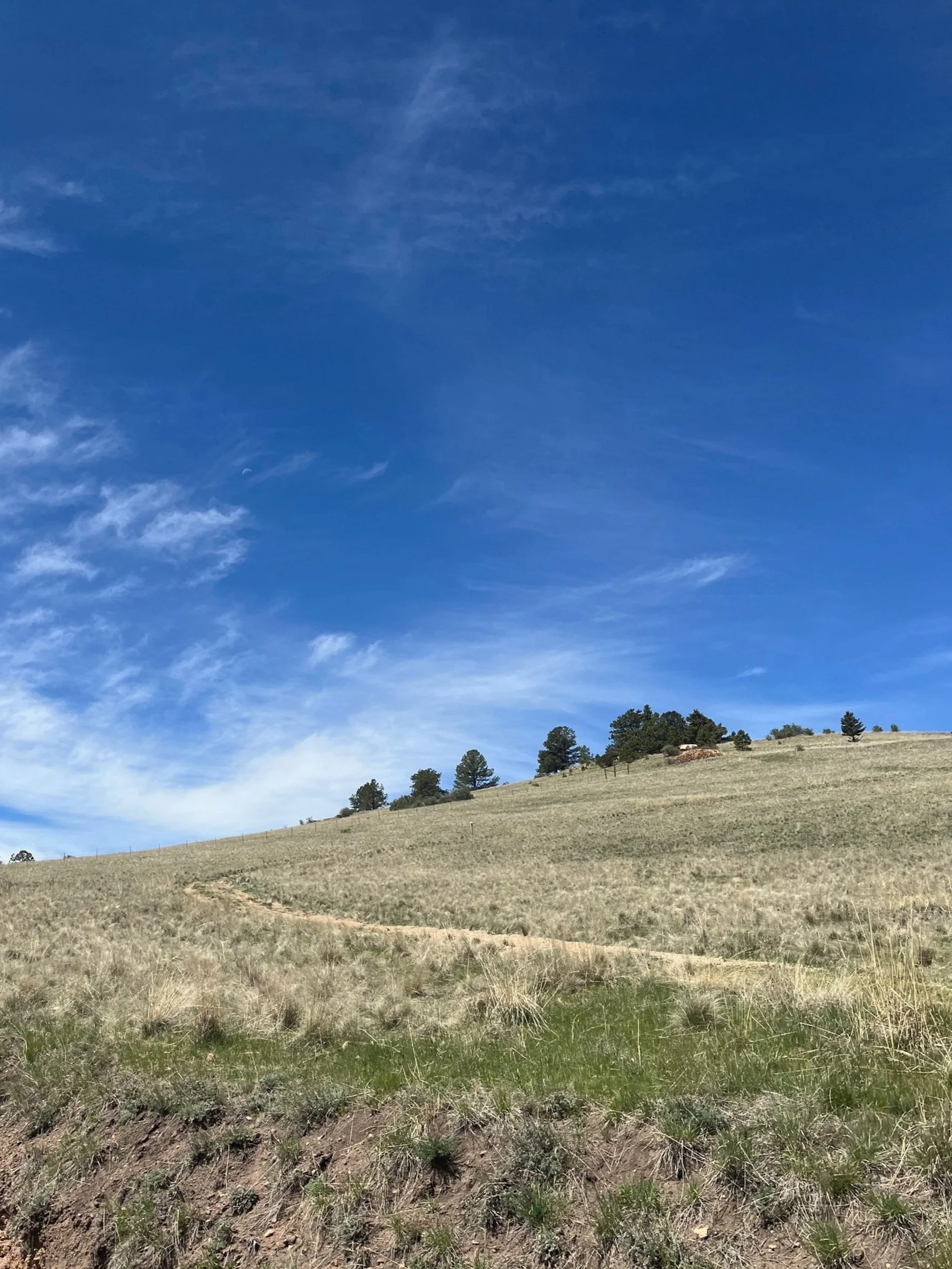 Finding Rita the Rock Planter in Victor, Colorado