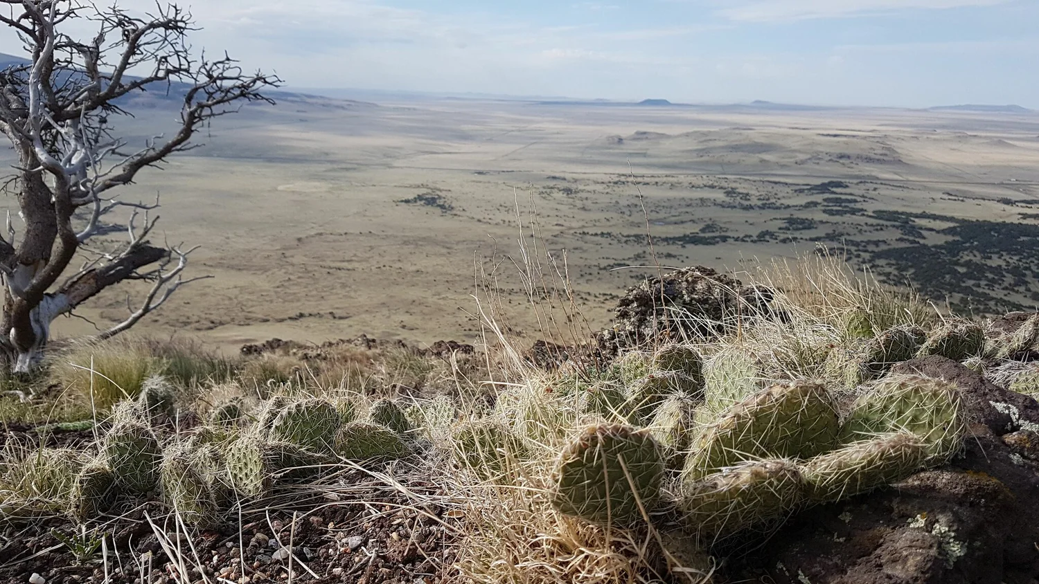 New Mexico National Parks Road Trip Itinerary