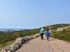 10 Best Easy Hikes in Acadia National Park