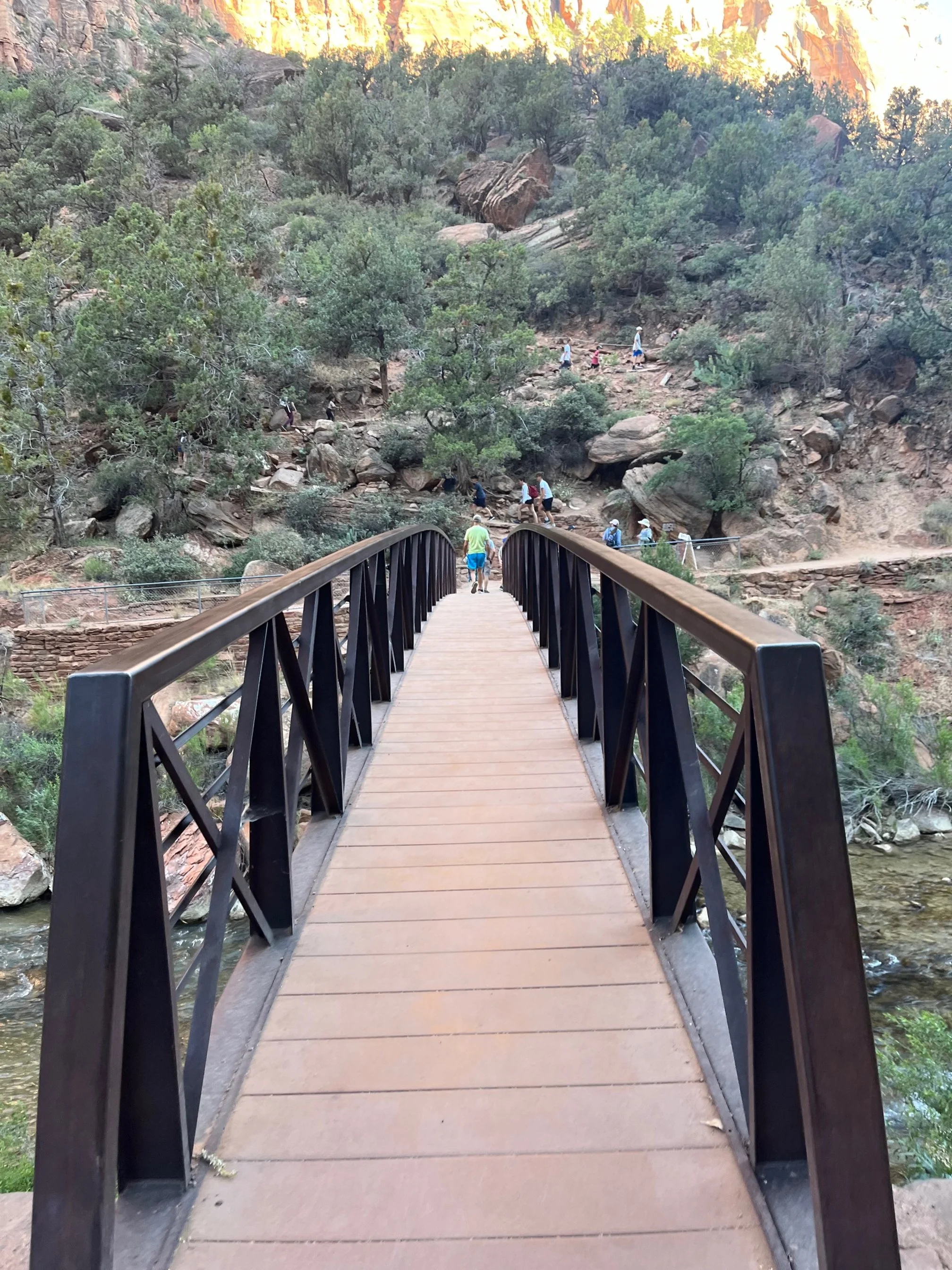 Kayenta Trail in Zion National Park: A Guide