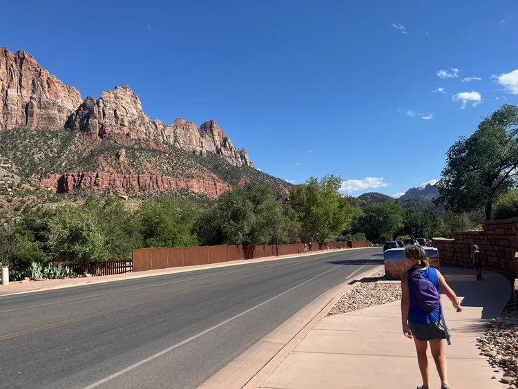 Biking through Zion National Park: Everything You Need to Know