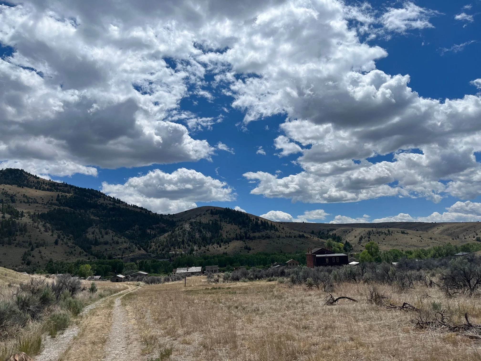 What to Do at Bannack State Park and Ghost Town in Montana: A Guide