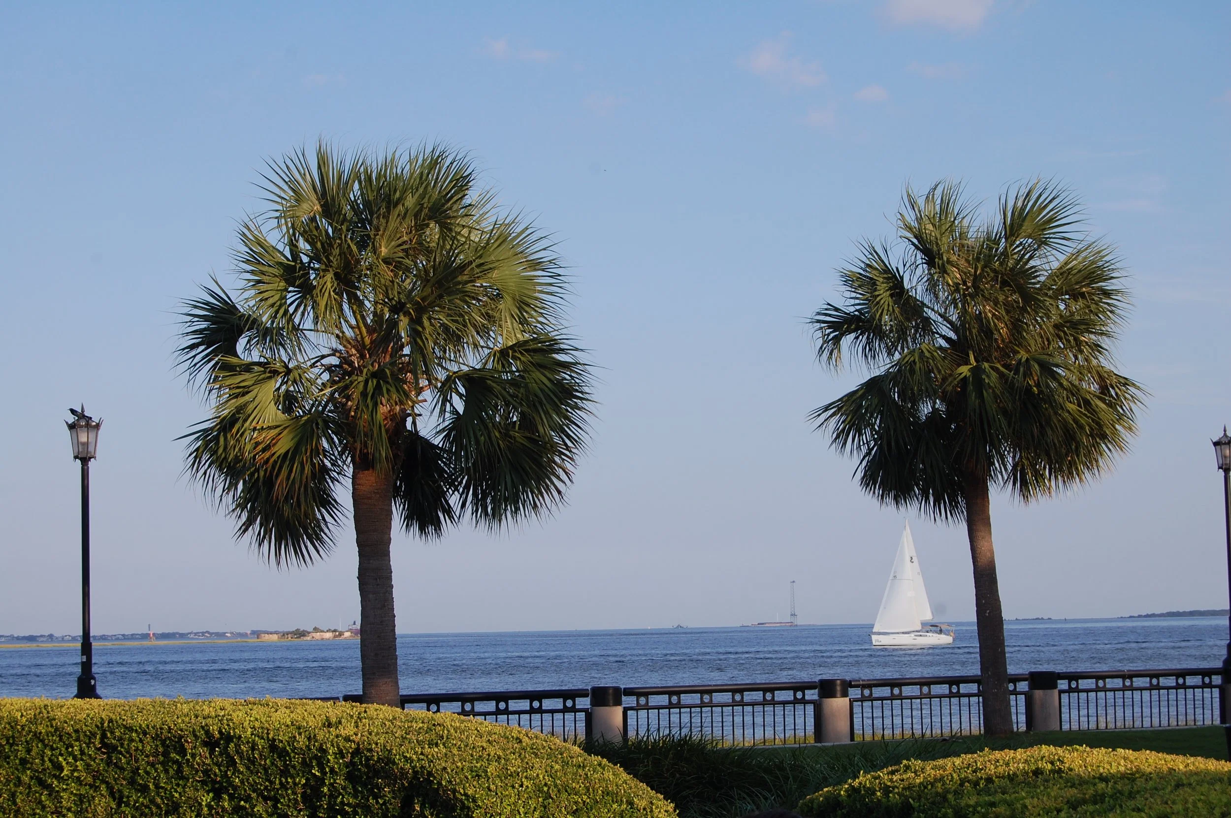 Best Things to Do in Charleston in Winter
