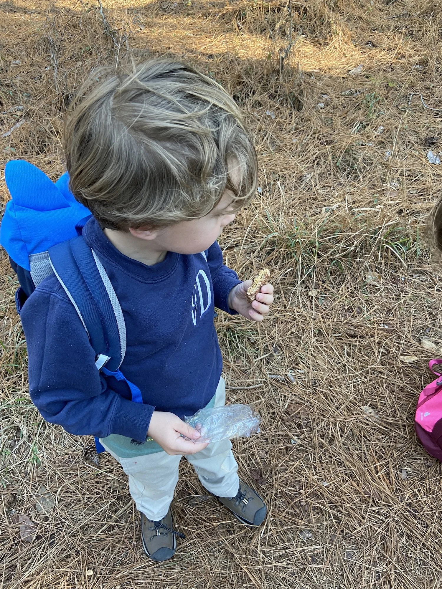 Tips and Tricks for Hiking with a Toddler
