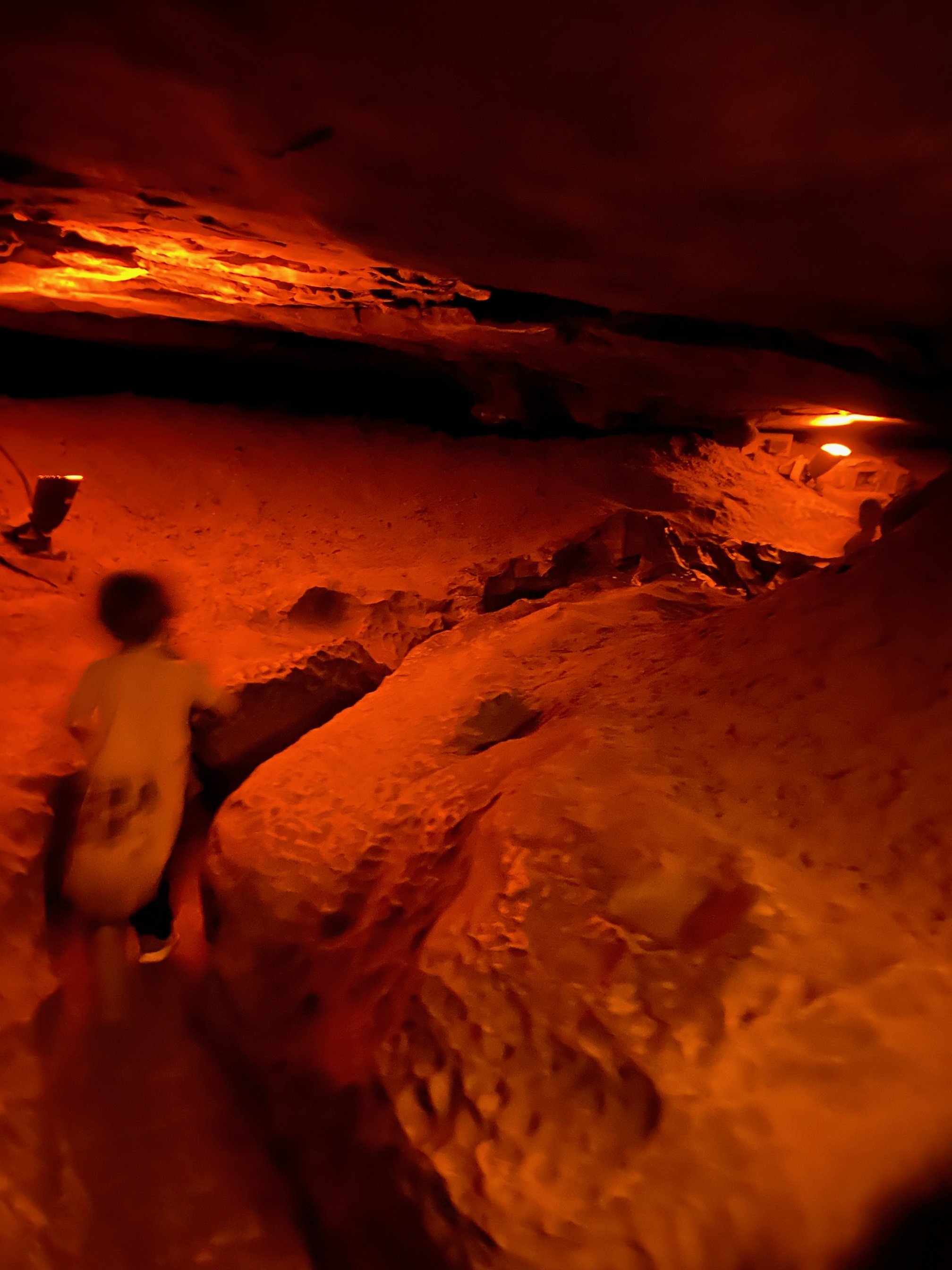 Best Mammoth Cave Tour for Kids
