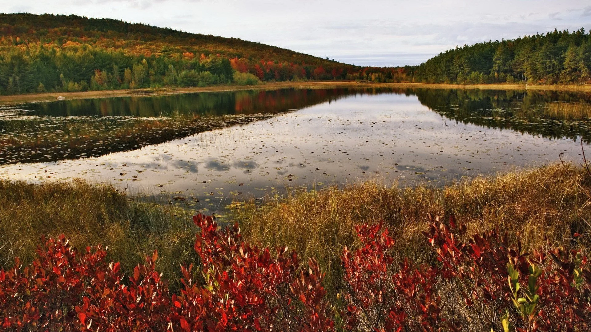 11 Best National Parks to Visit in the Fall