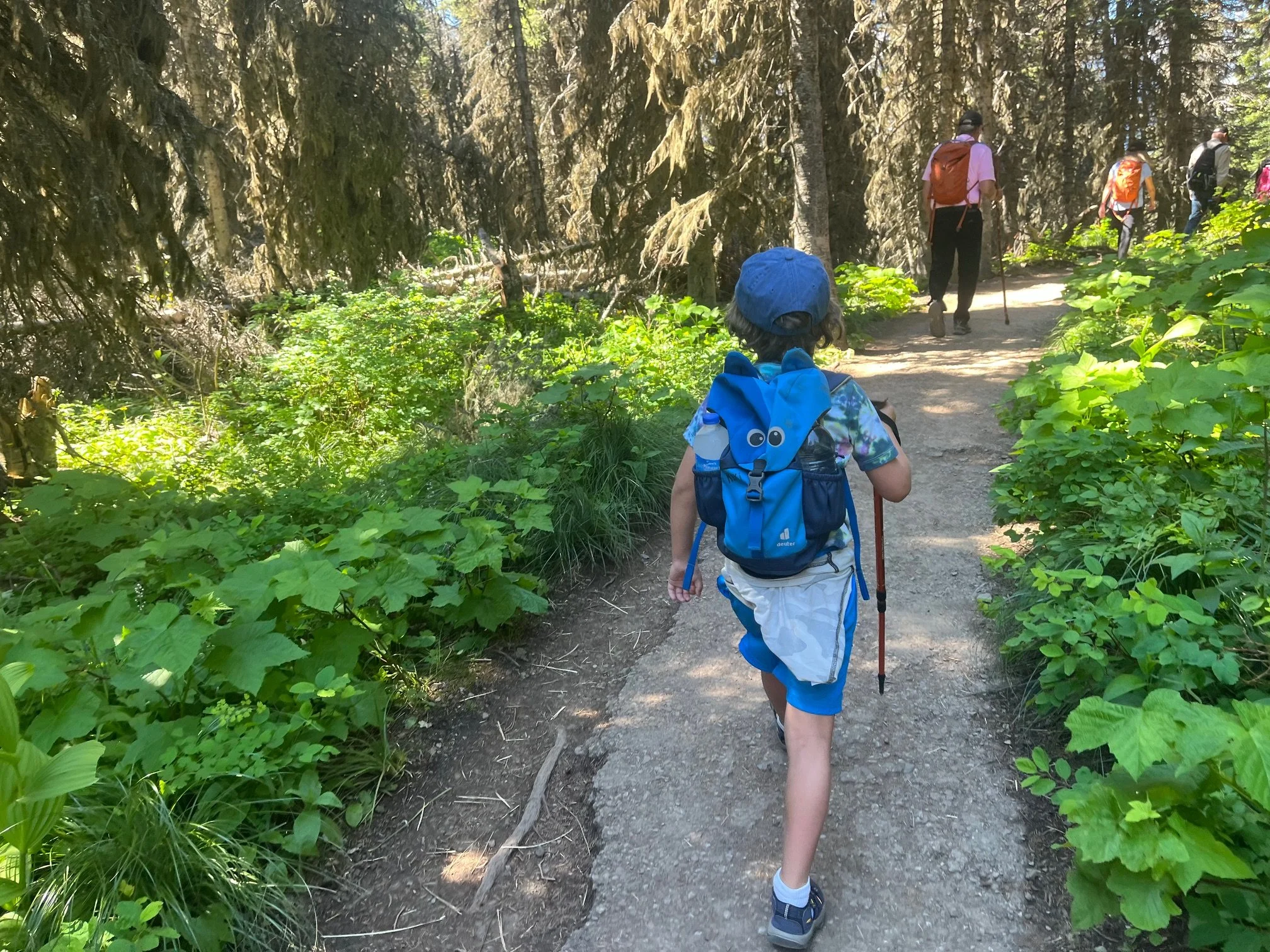 Many Glacier Boat and Hiking Tour Review in Glacier National Park