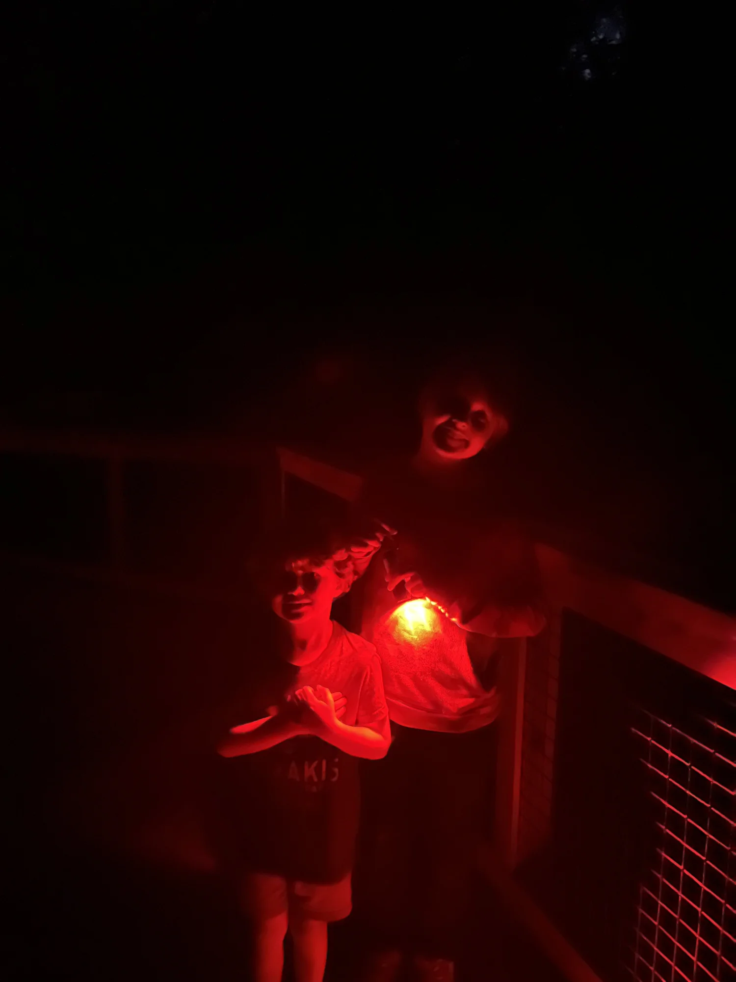 A Guide to the Synchronous Firefly Display at Congaree National Park