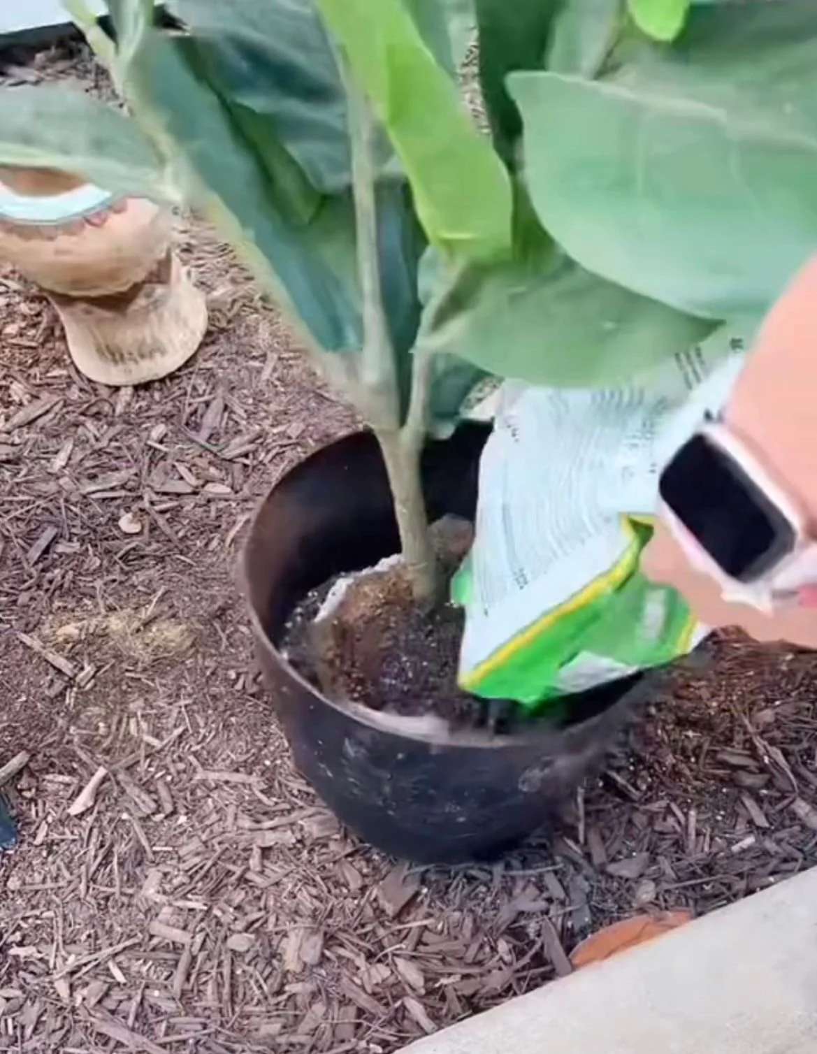 DIY Faux Potted Plants — Breezing Through