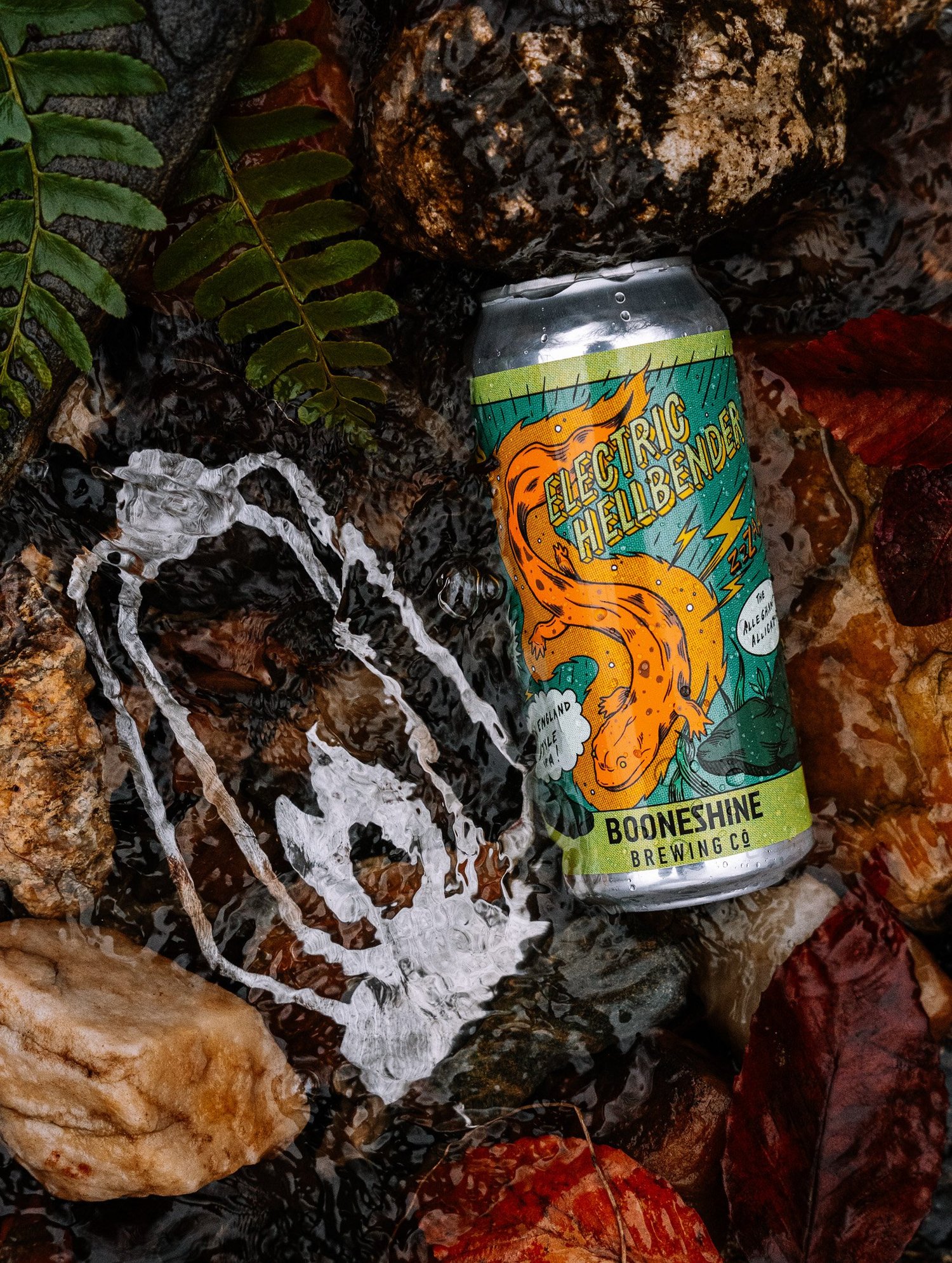 Booneshine Brewing Co.