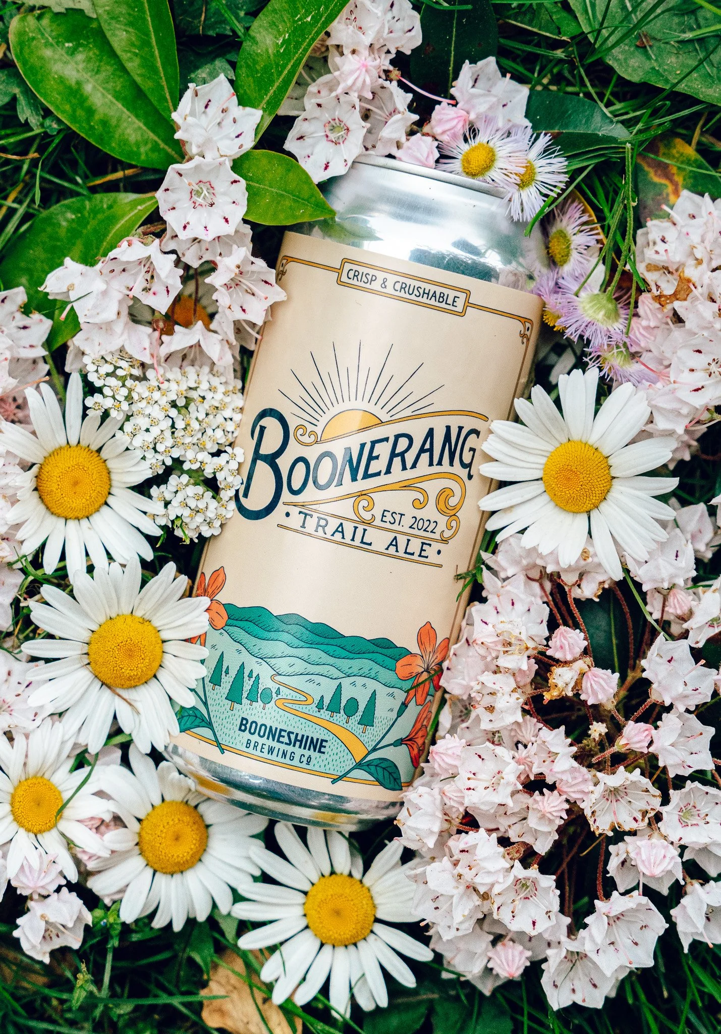 Booneshine Brewing Co.