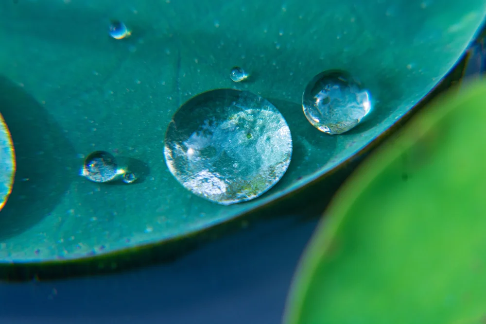 About Reverend Ike — Reverend Ike