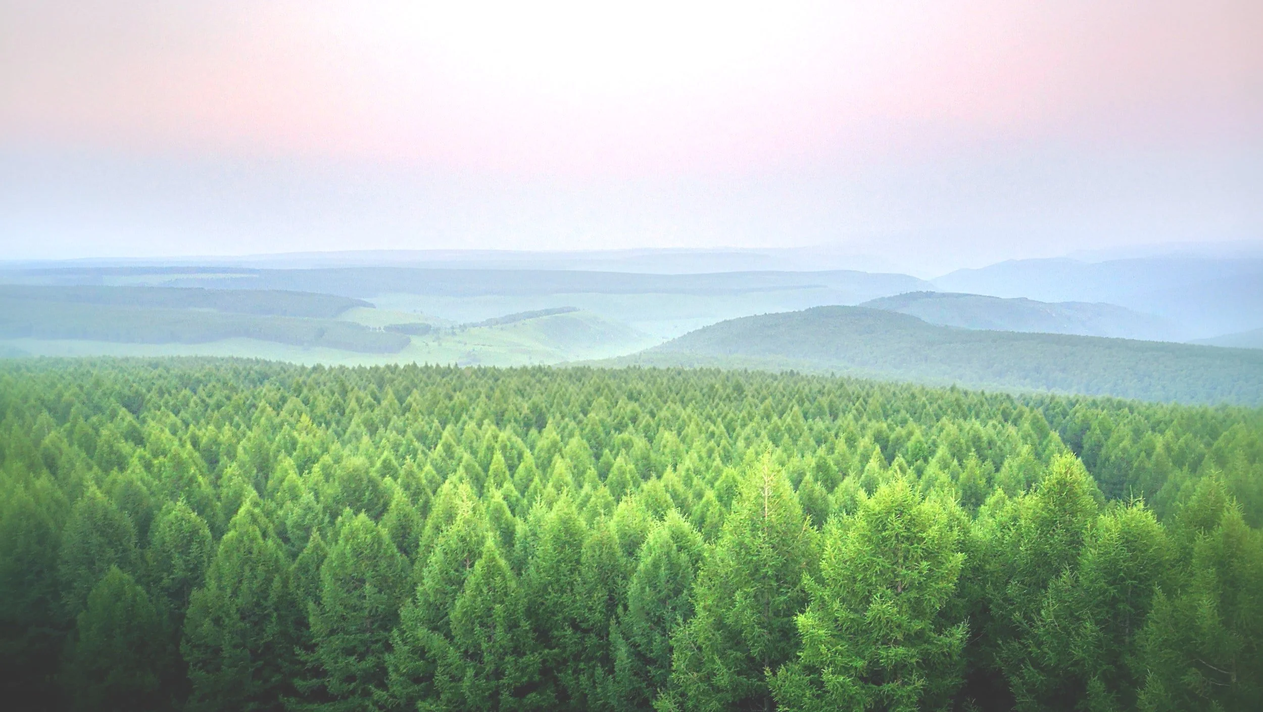 Lab Team — Fallon Goodman