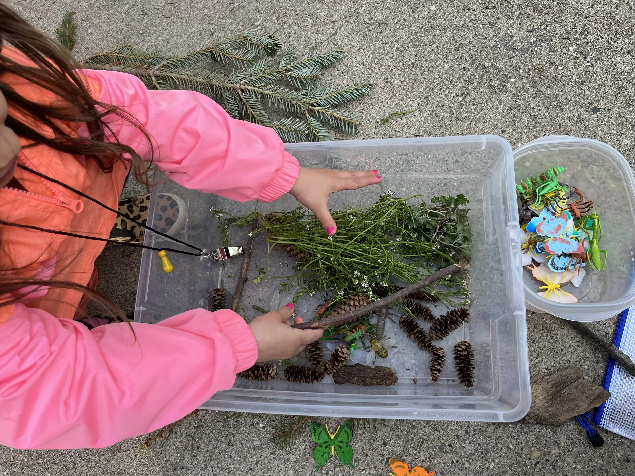 Bug and Nature Exploration Bin — Filling Our Days
