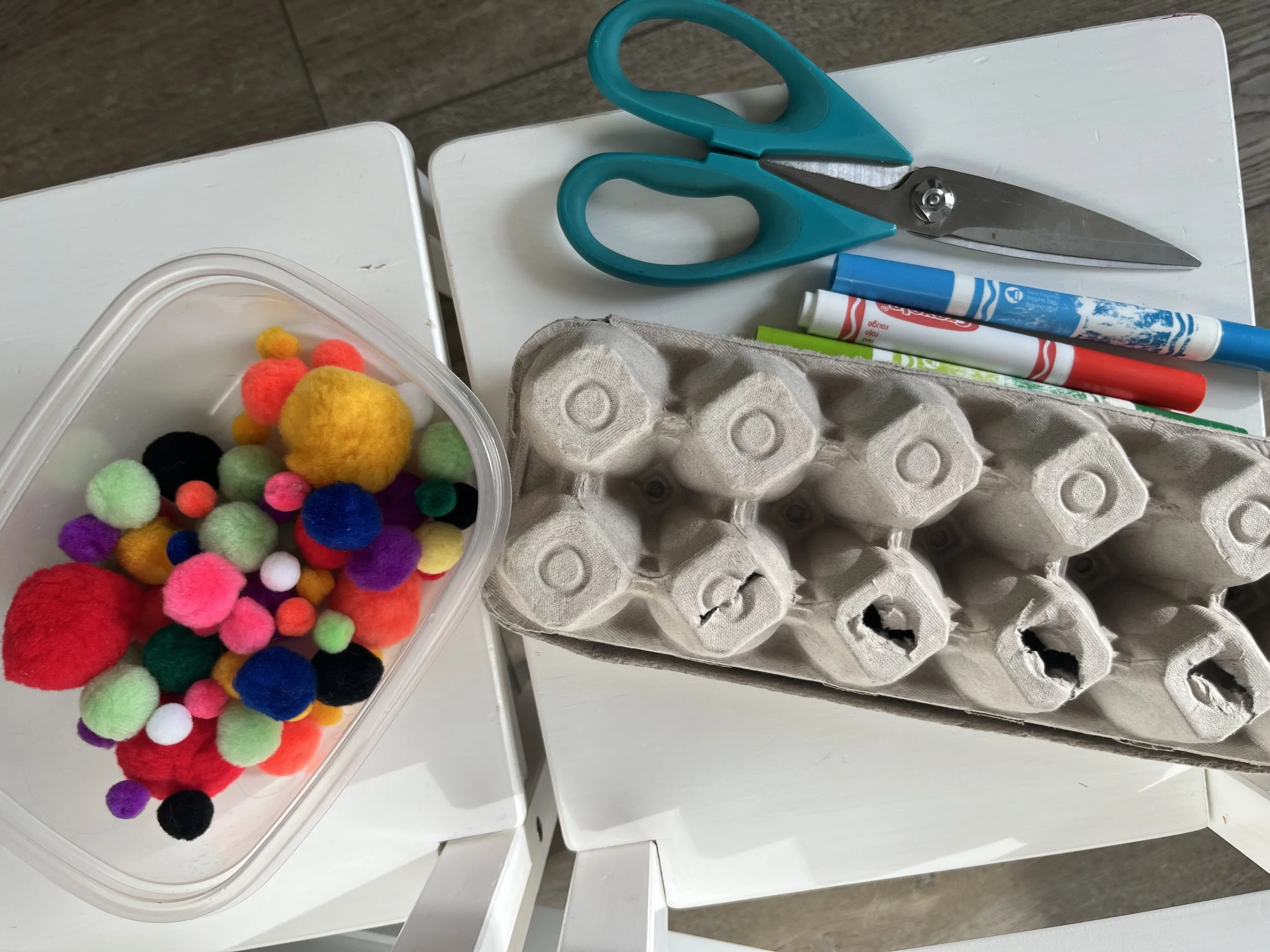Egg Carton Pom Pom Push- Color Sorting for Toddlers — Filling Our Days