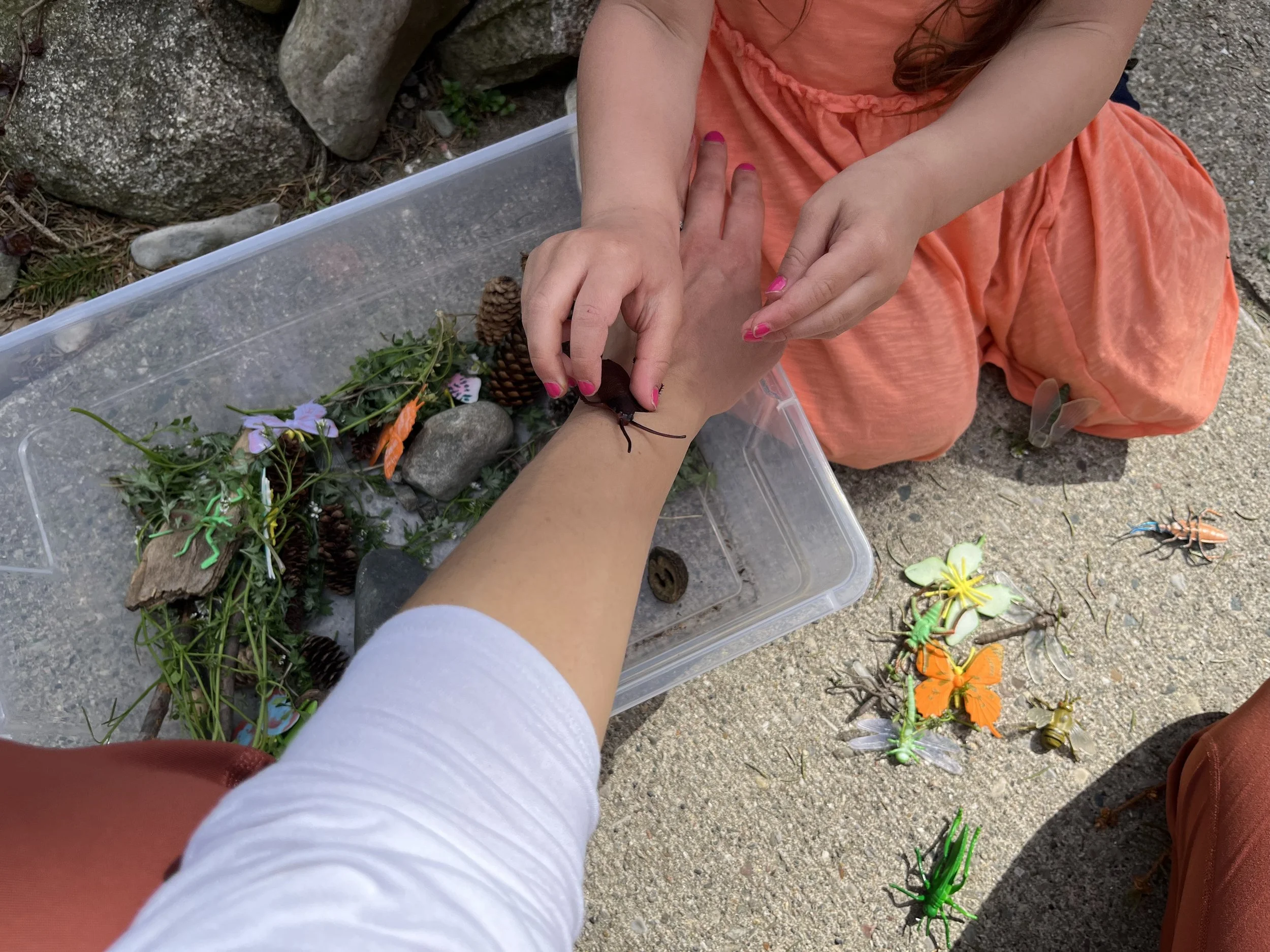 Bug and Nature Exploration Bin — Filling Our Days