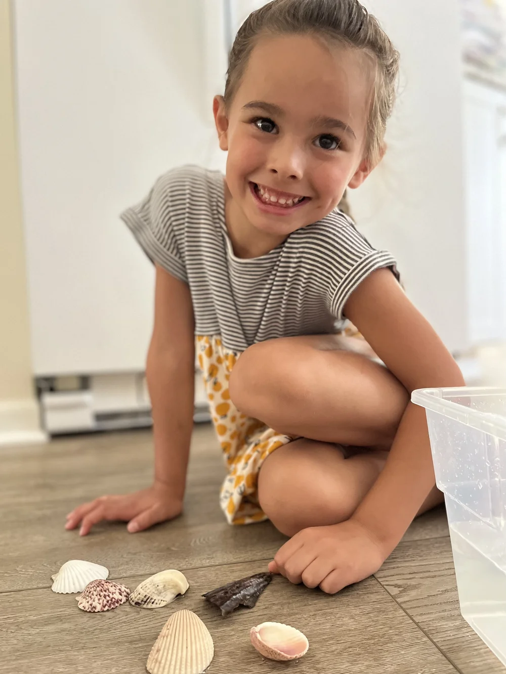 Beach Themed Seashell Transfer Activity — Filling Our Days