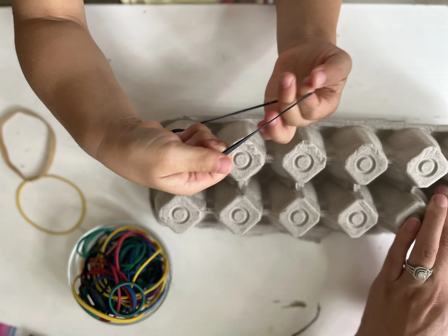 Egg Carton Rubber Band Stretch — Filling Our Days