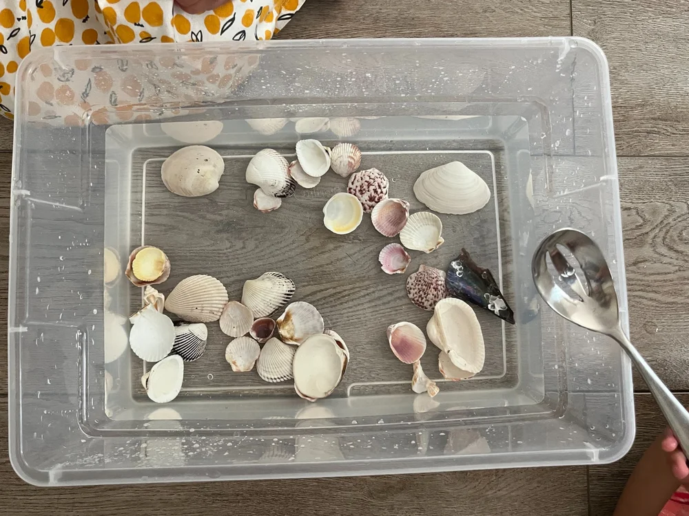 Beach Themed Seashell Transfer Activity — Filling Our Days