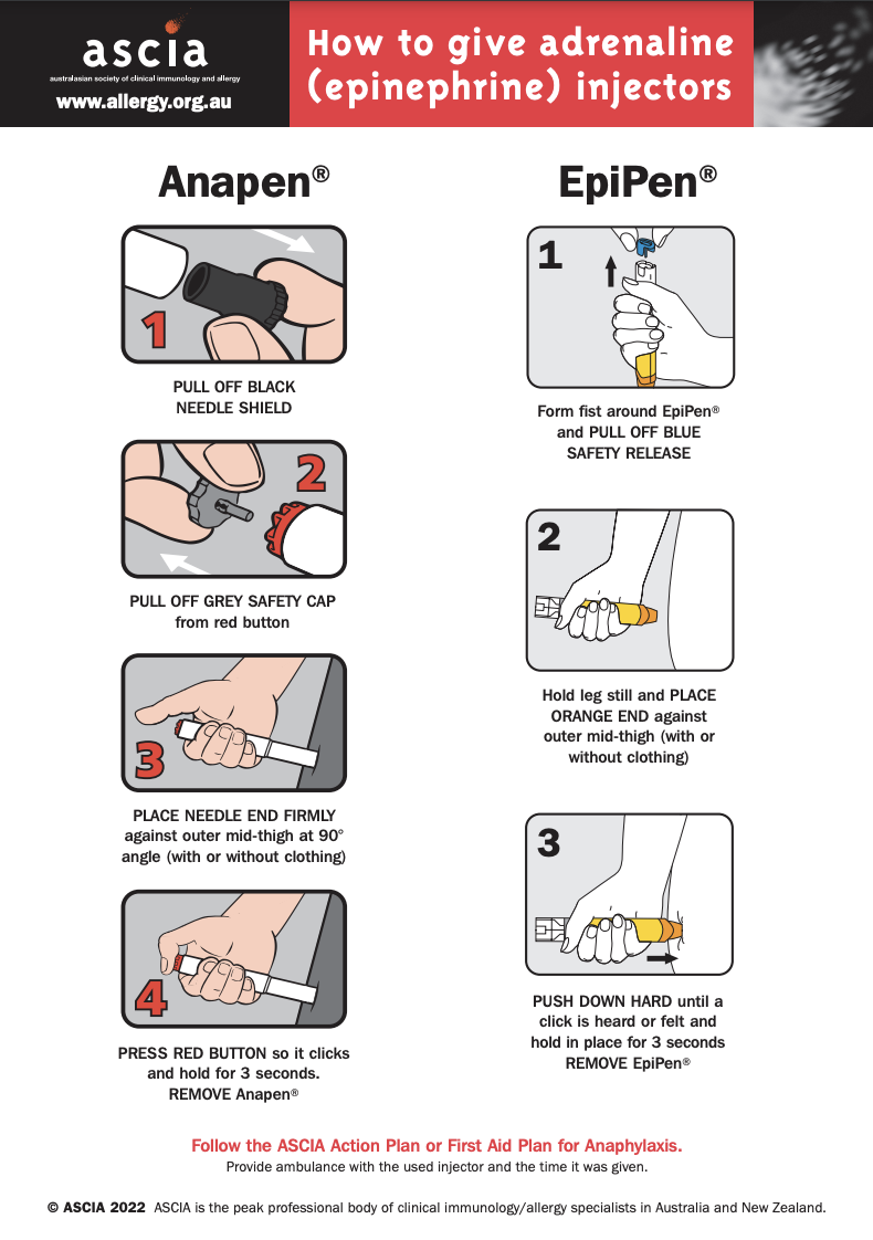 Anaphylaxis Awareness & Training for Early Learning Centres — Synergy ...