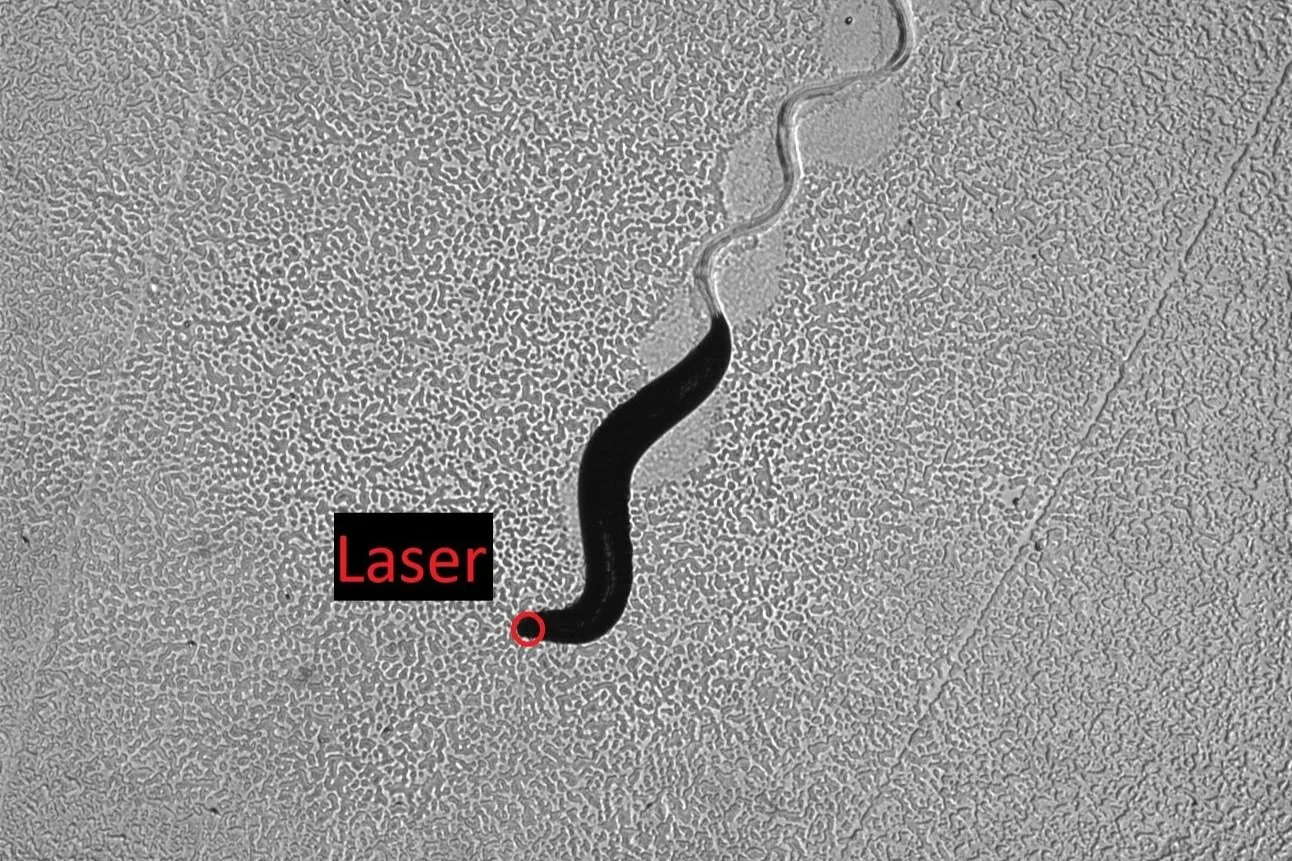 Sid Goyal — Goyal Biophysics Lab