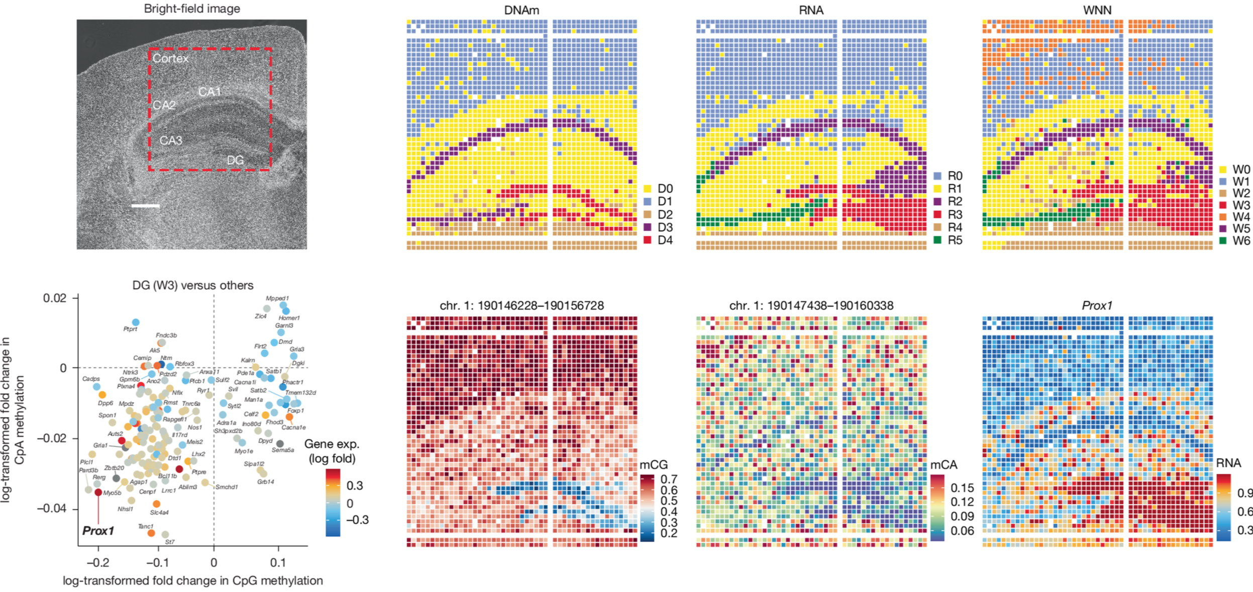 PUBLICATIONS — YANXIANG DENG LAB @ PENN