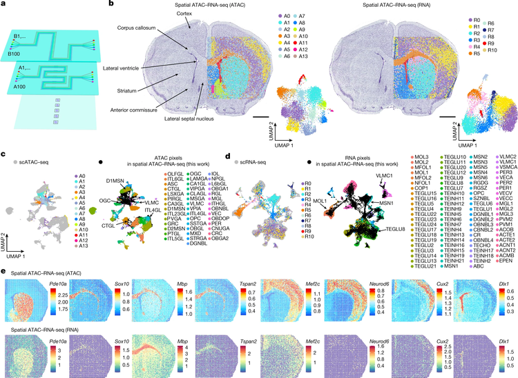 NEWS — YANXIANG DENG LAB @ PENN
