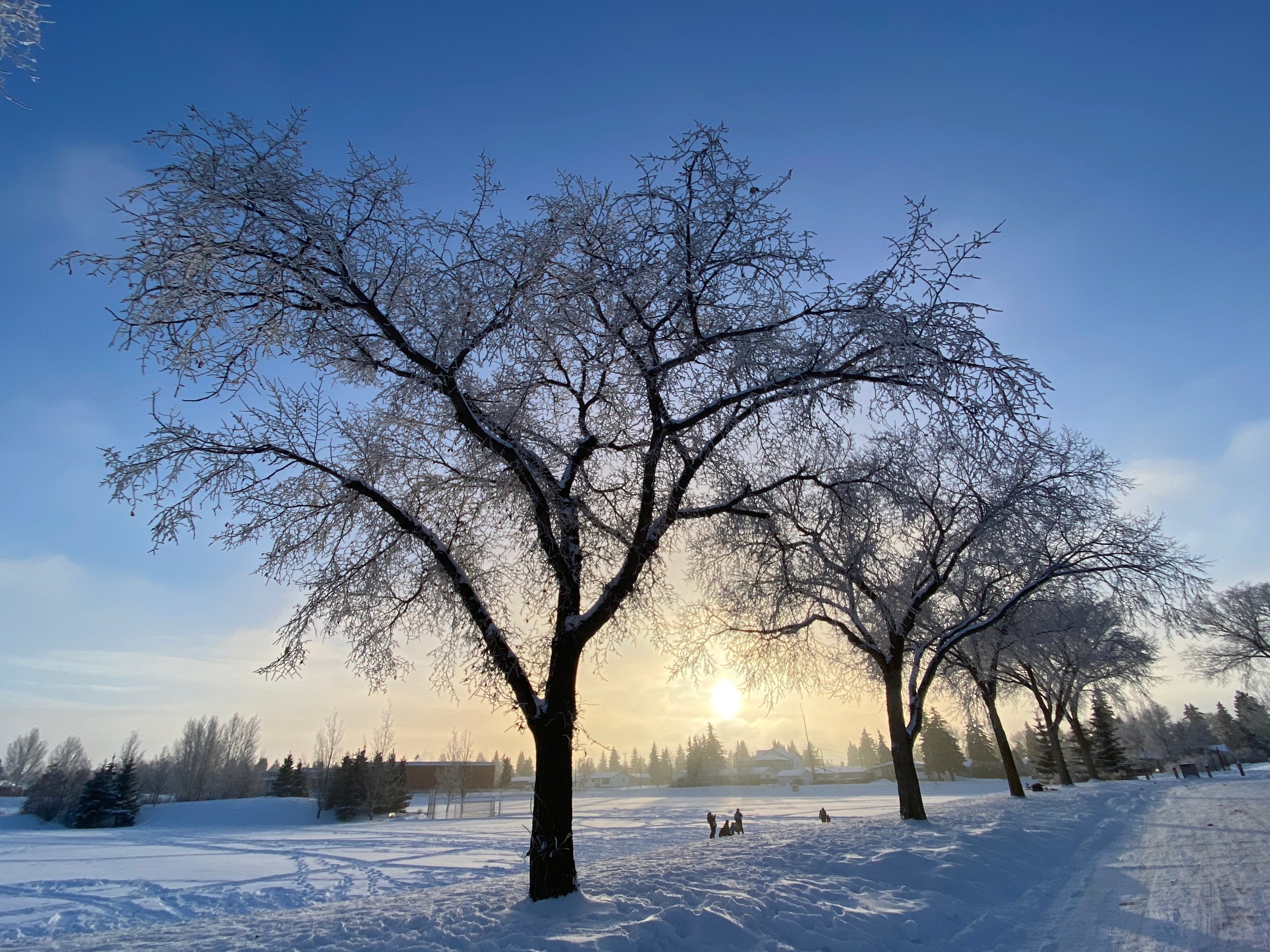 Lendrum Community League