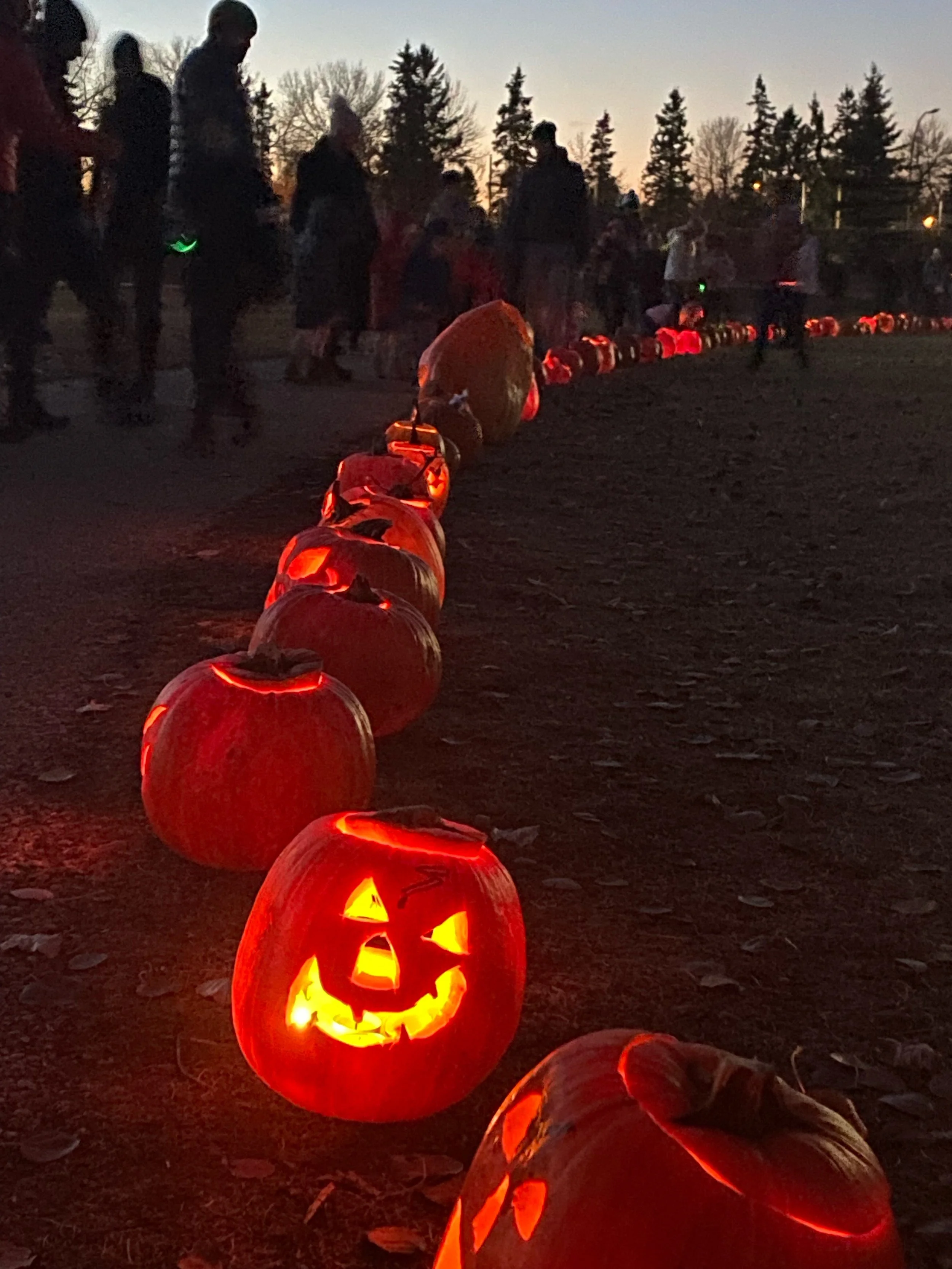 Lendrum Community League