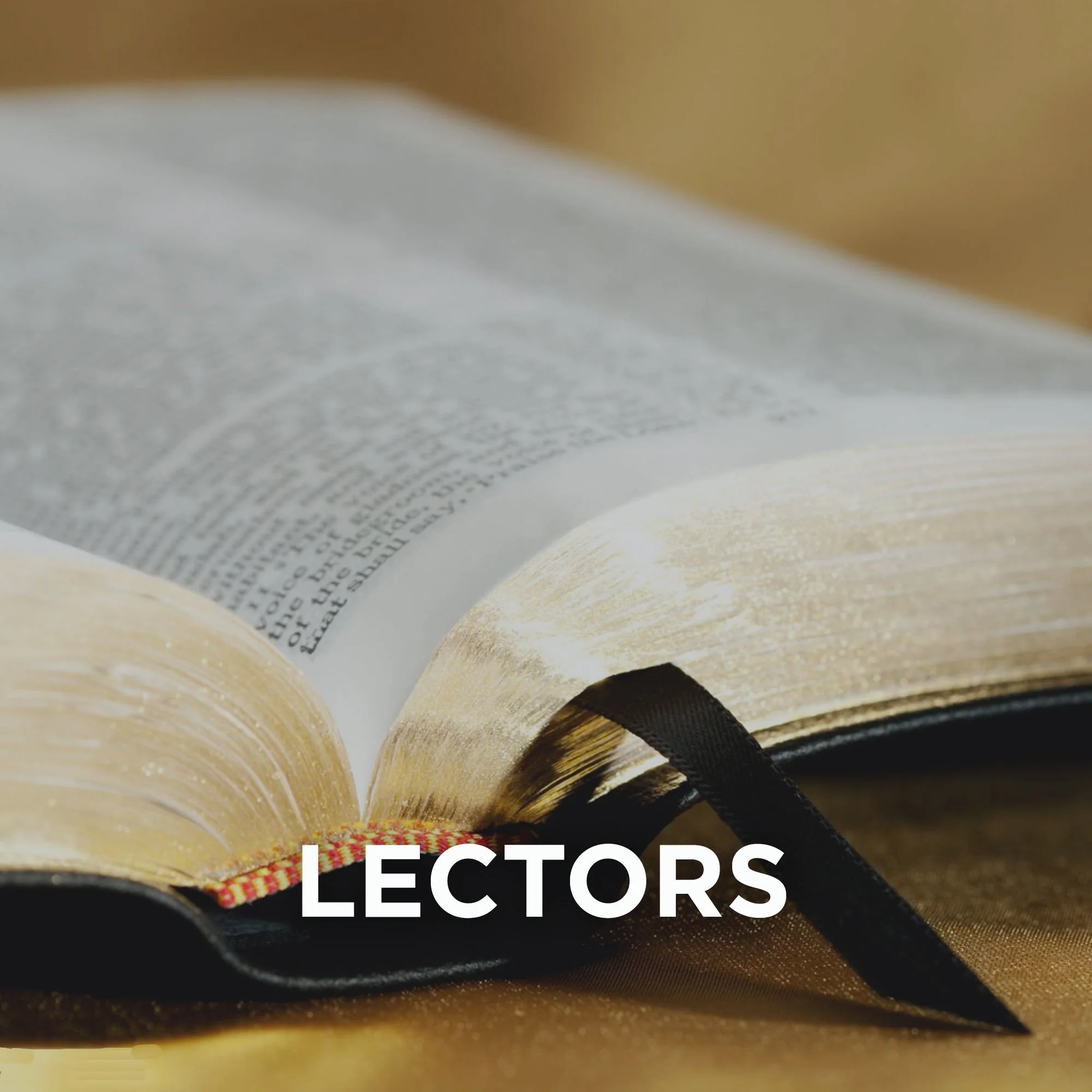 Liturgical — St. Isidore Parish