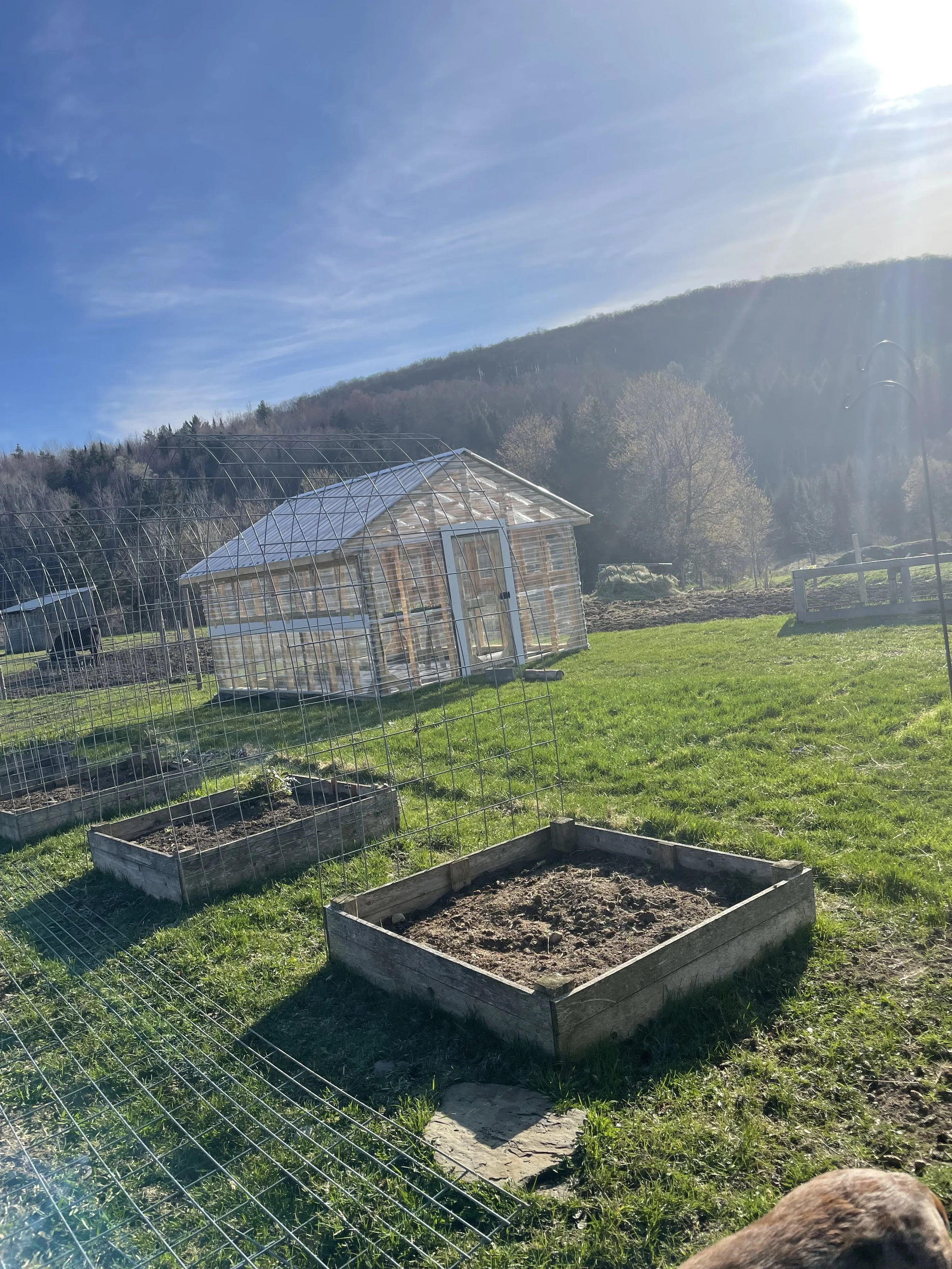 About — Straight Line Farm