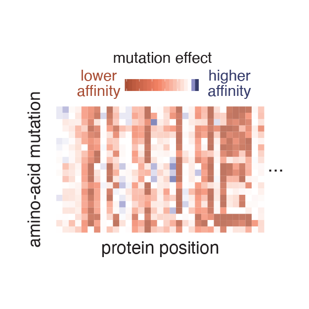 Research — Starr Lab