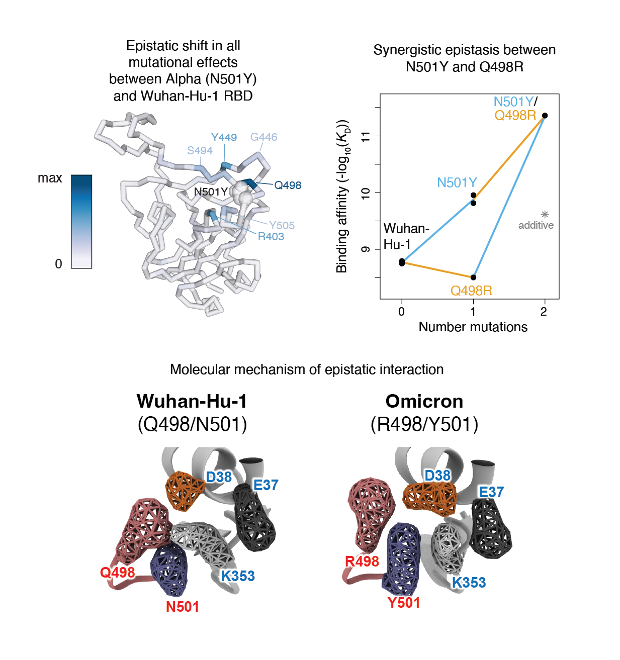 Research — Starr Lab