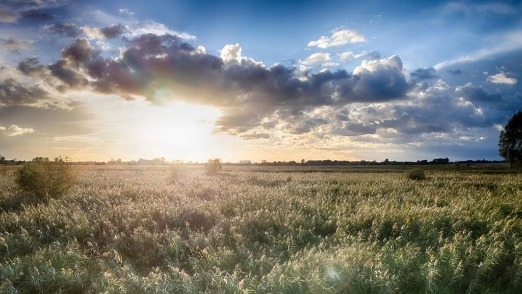 Press Release | £40million for Nature — Nattergal