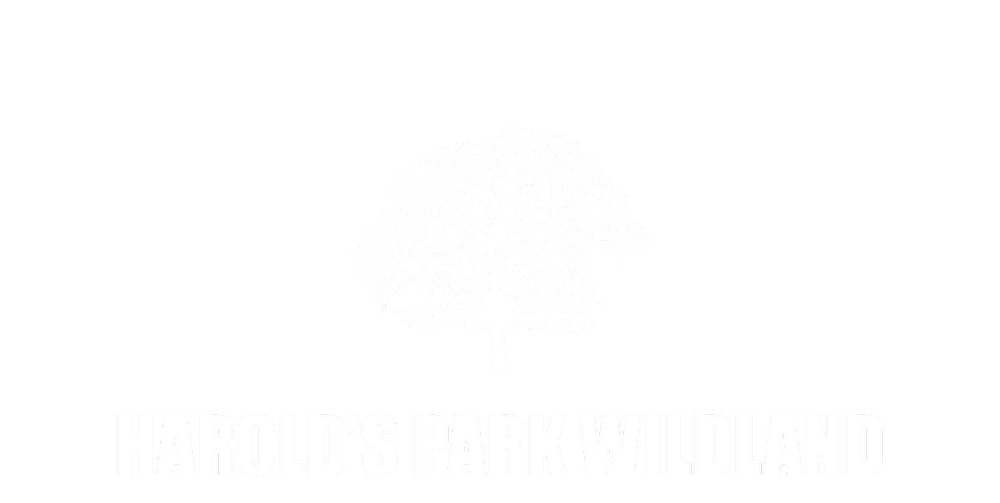 Harold's Park Wildland — Nattergal