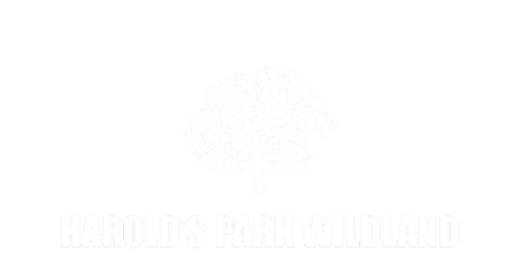 Harold's Park Wildland — Nattergal
