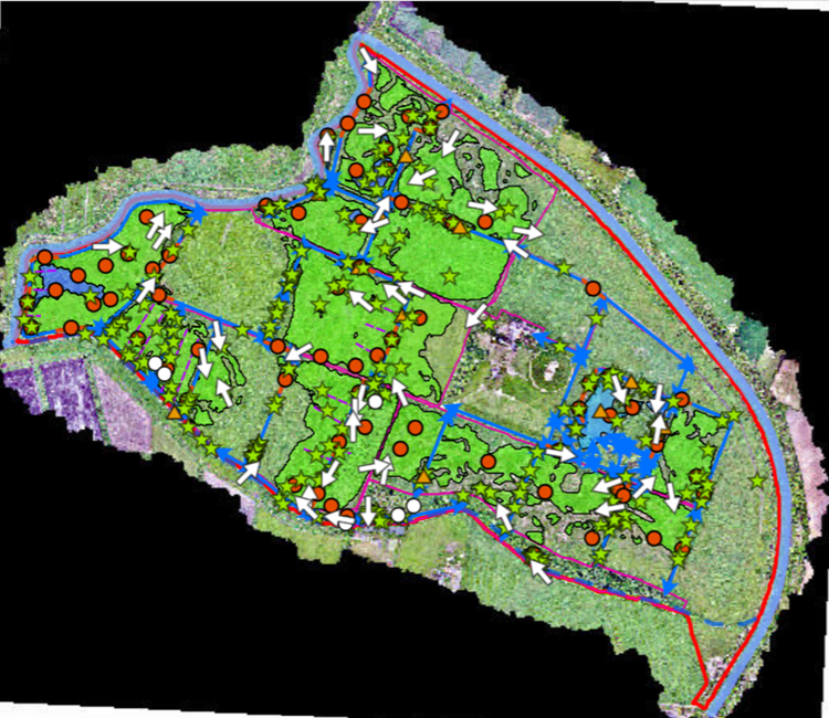High Fen Wildland — Nattergal