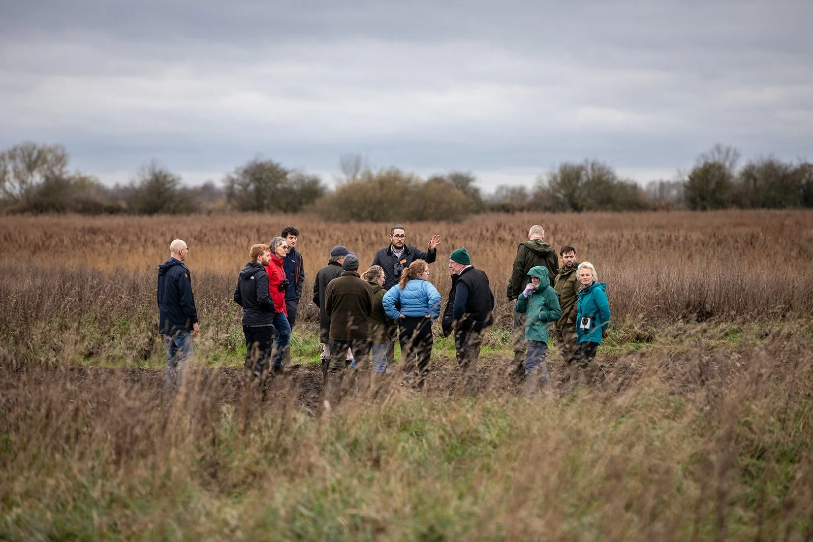 Wildland Tours & Experiences — Nattergal