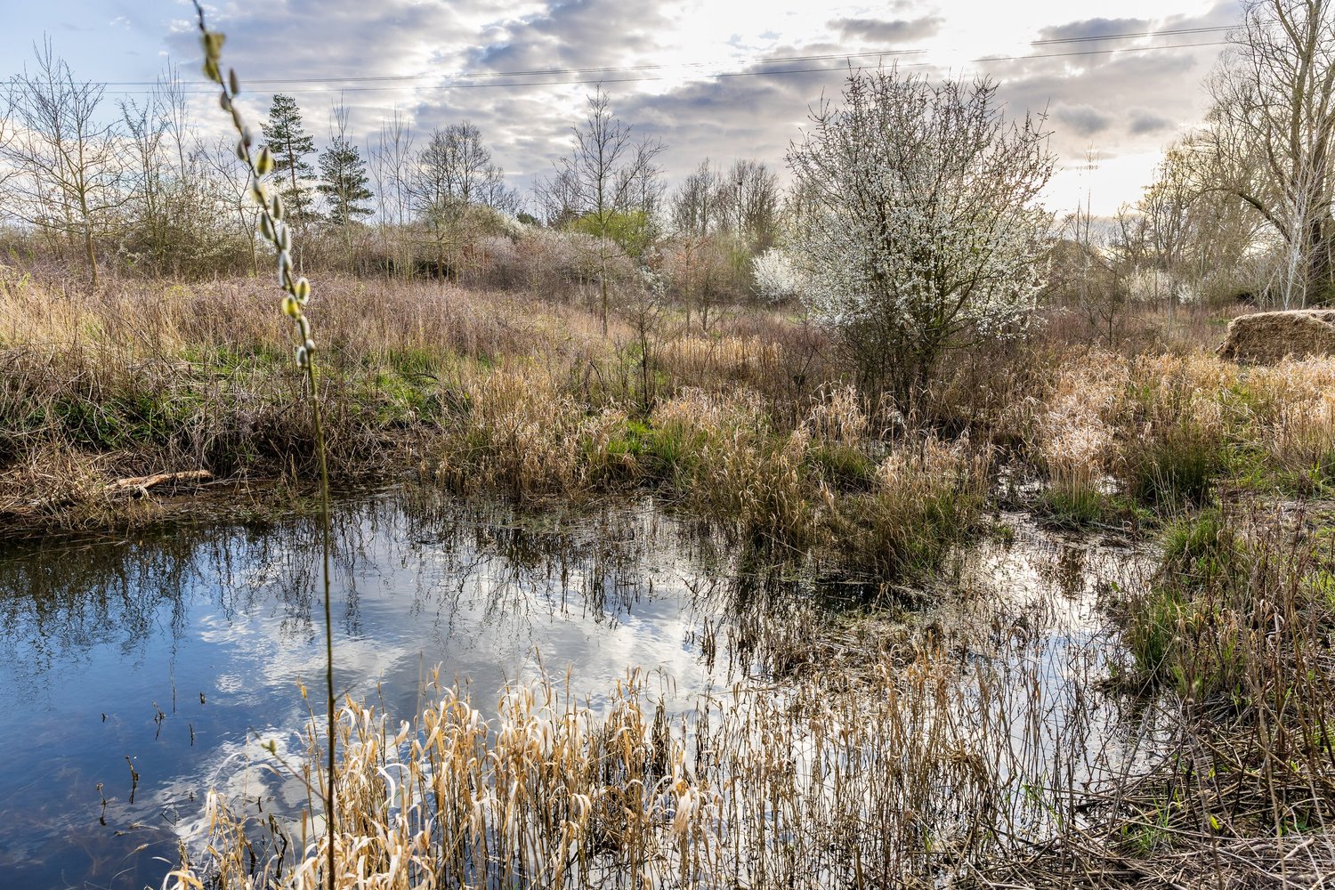 Wildland Tours & Experiences — Nattergal