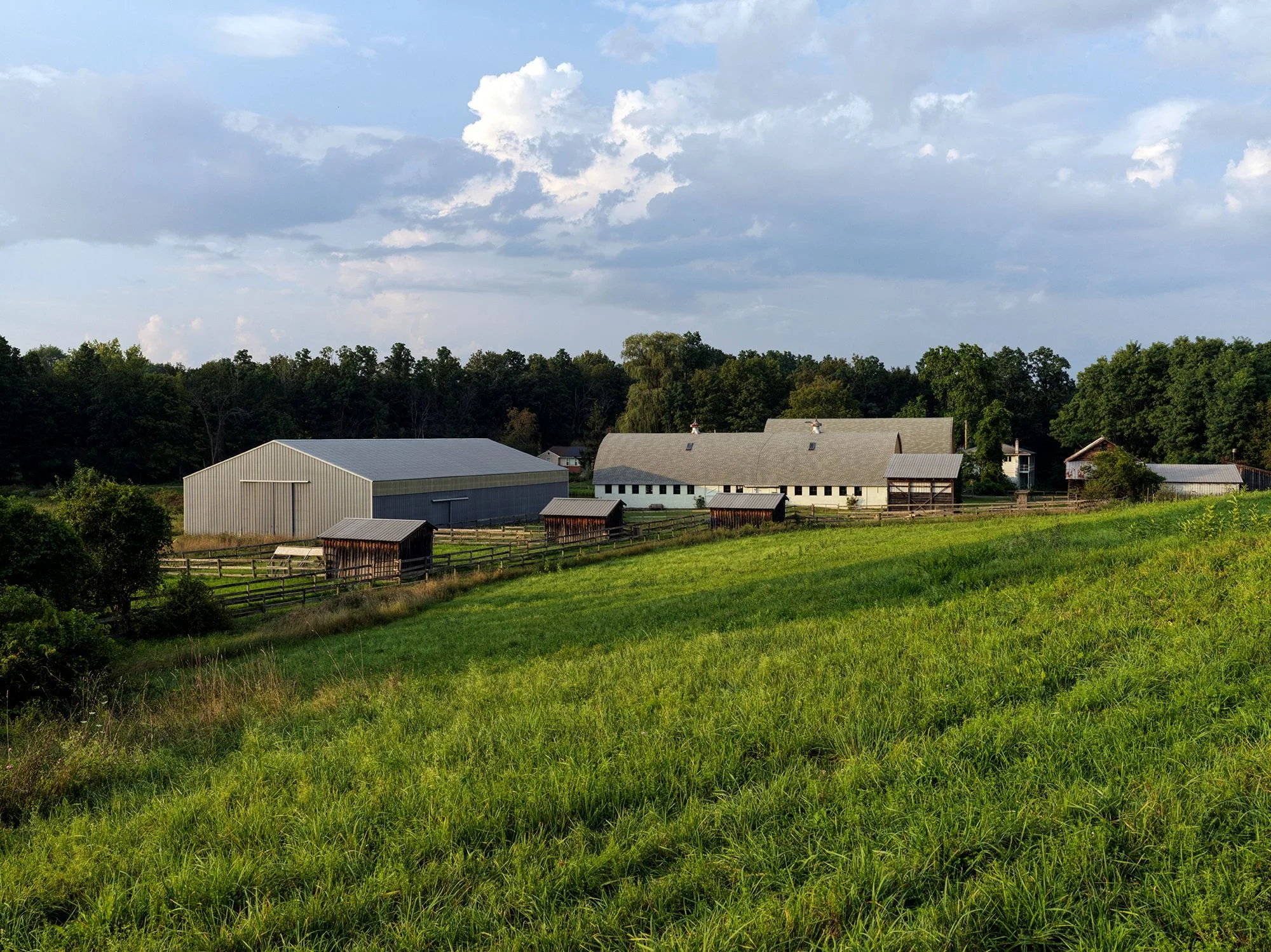 The Property — Callisto Farm