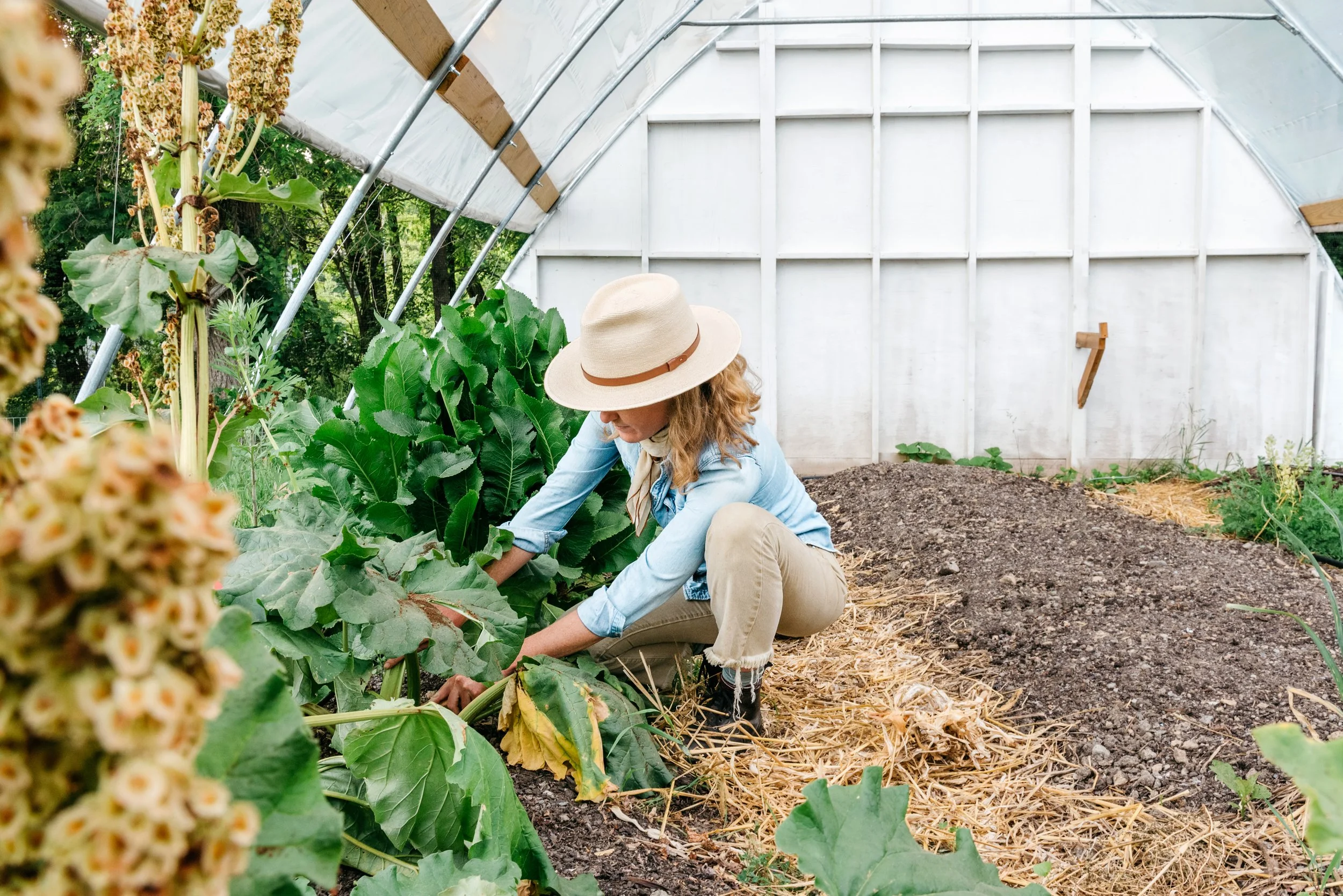 The Farm — Callisto Farm