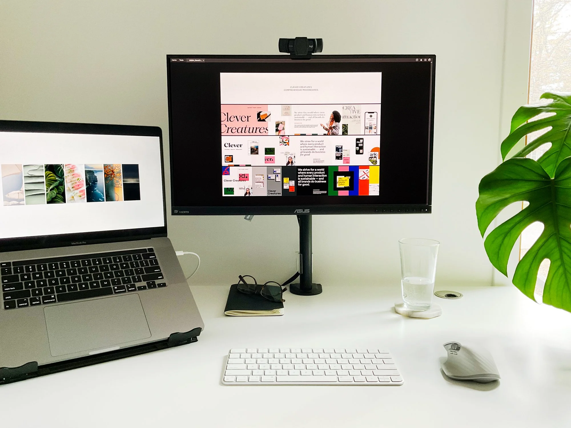 Clever — Brand Design Studio for Eco-Friendly Businesses