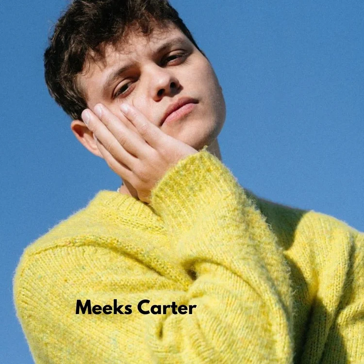 Independent Music Distribution | Wings Access